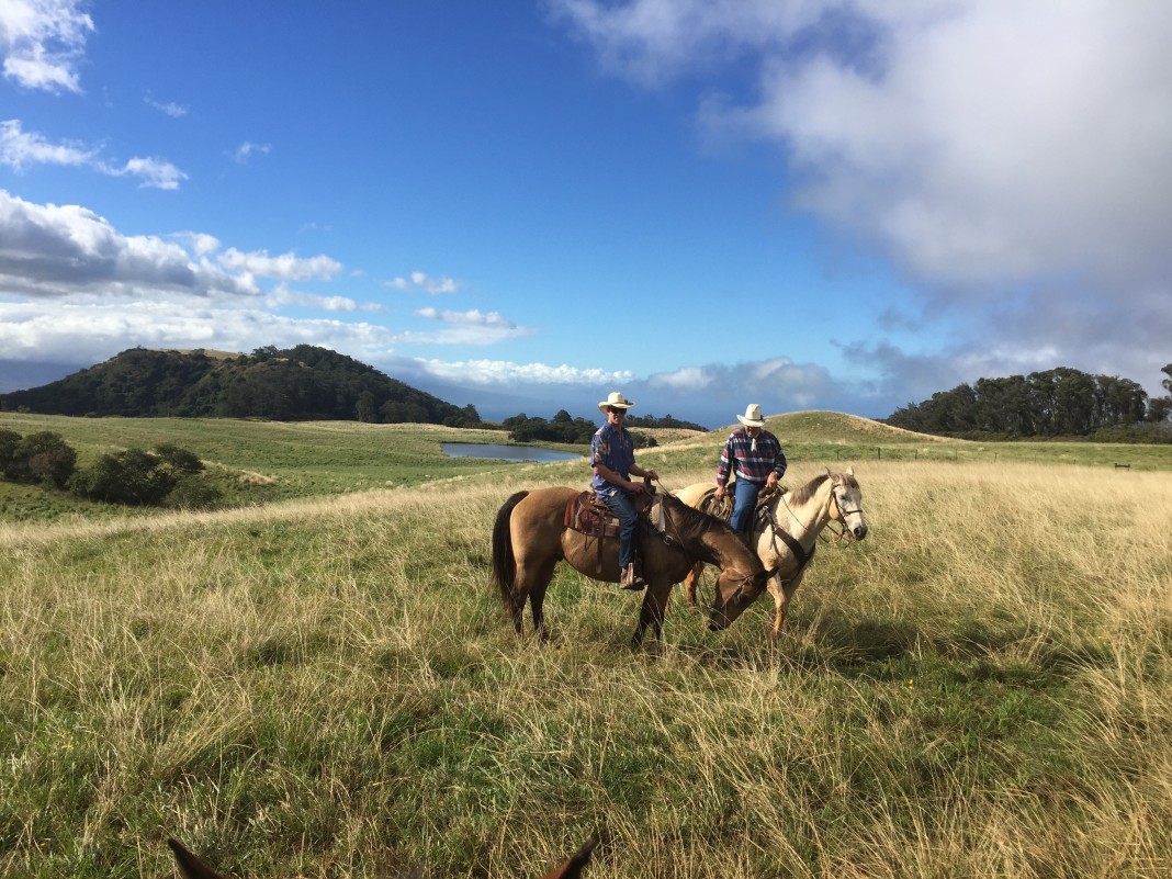 Horseback Riding on the Island of Maui - Hawaii Attractions